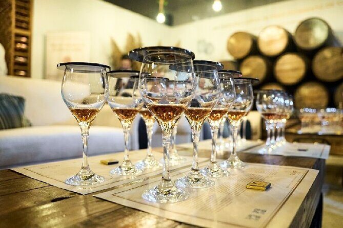 100% Caribbean Rum Tasting in Punta Cana. - Key Points
