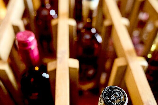 100% Caribbean Rum Tasting in Punta Cana. - The Real Value: Why This Tour Works for Travelers