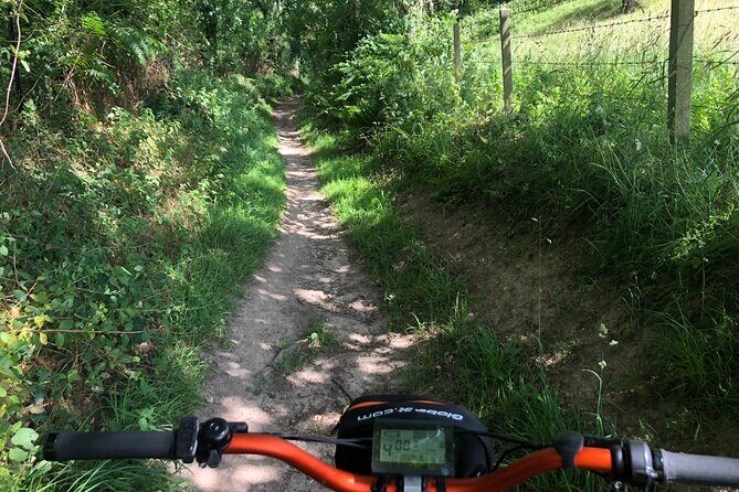 "100% emotion" ride on an all-terrain electric scooter - Final Verdict: Who Should Consider This Tour?