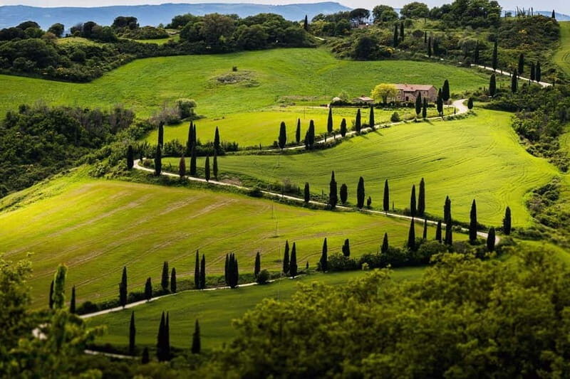 100% Tuscany! Chianti, Pinot & Supertuscan Wine Tour - Final Thoughts
