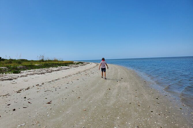 10,000 Islands Boat Tour + Naturalist Led Walk in the Everglades! - Introduction: Why This Tour Stands Out