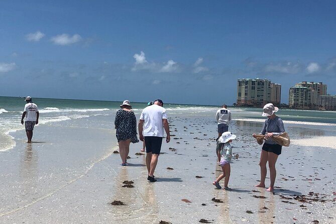 10,000 Islands Excursion Small-Group 3.5 hour Dolphin & Shelling Boat Tour - Key Points
