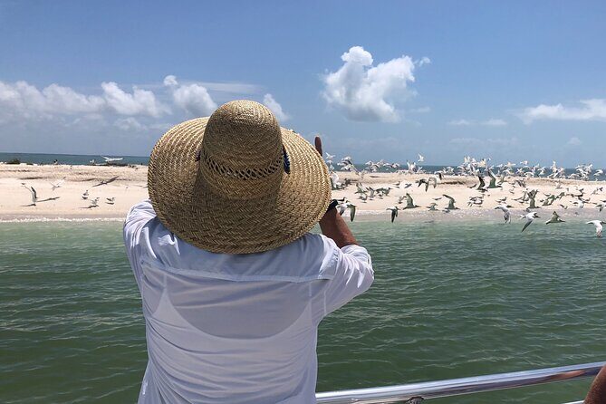 10,000 Islands Excursion Small-Group 3.5 hour Dolphin & Shelling Boat Tour - What Travelers Say: Authentic Experiences and Notable Highlights