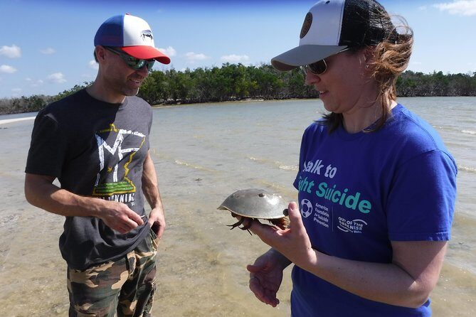 10,000 Islands Excursion Small-Group 3.5 hour Dolphin & Shelling Boat Tour - The Sum Up
