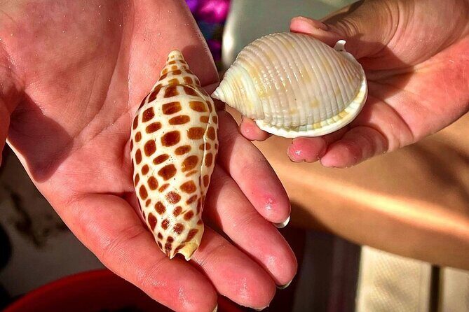 10K Islands Private Shelling Tour - Why Choose This Tour?