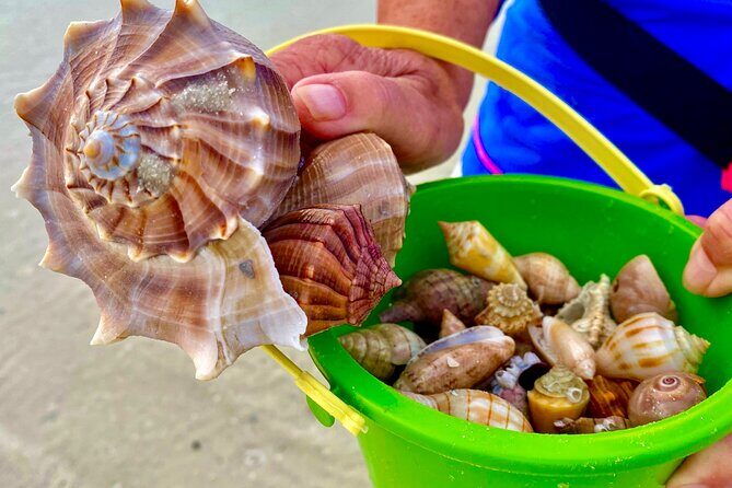 10K Islands Private Shelling Tour - FAQ: Your Questions Answered