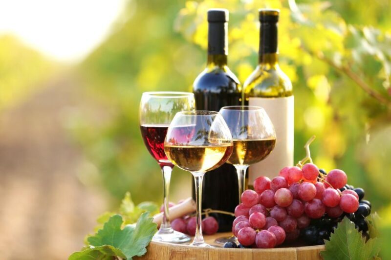 11 Course Lunch, Wine Tasting & Cooking Mastery in Rhodes - Who should consider this tour?