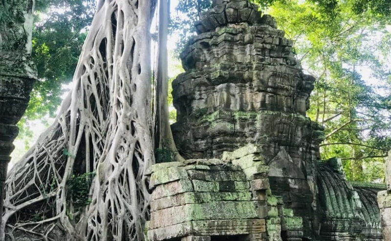 11-Day Cambodia Tour: visit Phnom Penh, Siem Reap & Beyond - A Detailed Look at the 11-Day Cambodia Tour: Visit Phnom Penh, Siem Reap & Beyond