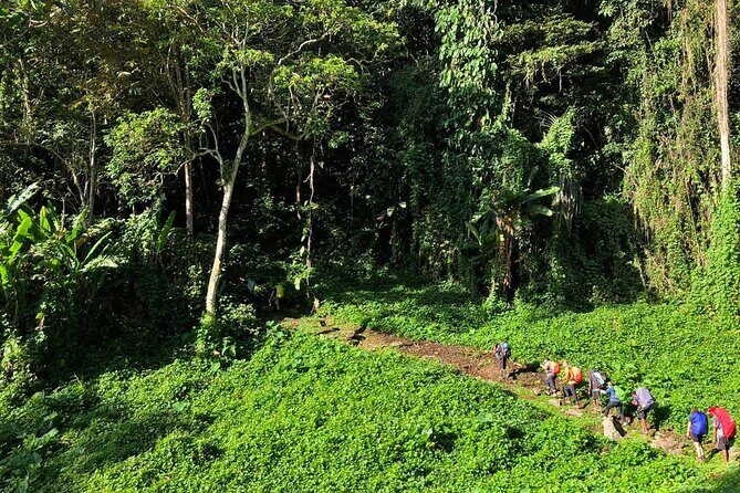 11 Day Kokoda Trek Australian and Local Guides - Authentic and Moving Experience