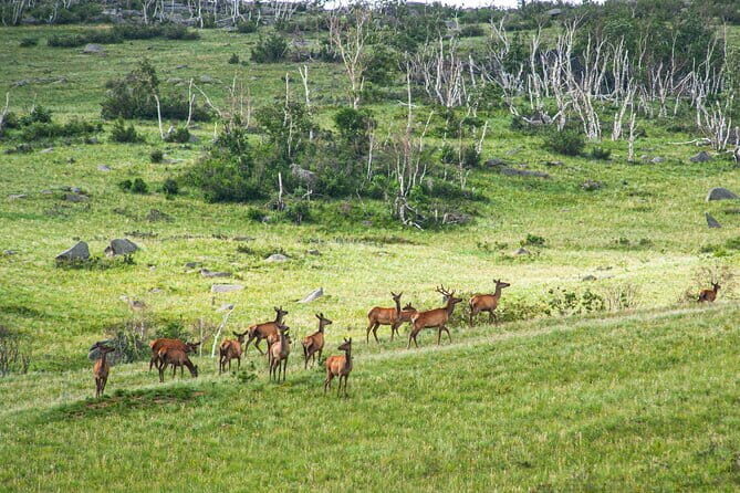 11-Day Private Horseback Riding in the 8 Lakes - Who Should Consider This Tour?