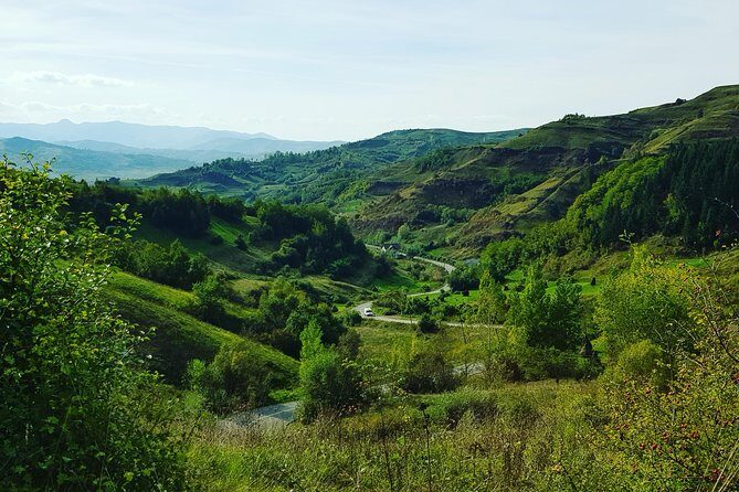 11-Day Romania Tour from Bucharest with Transylvania & Bucovina - UNESCO World Heritage: Biertan and Sighisoara