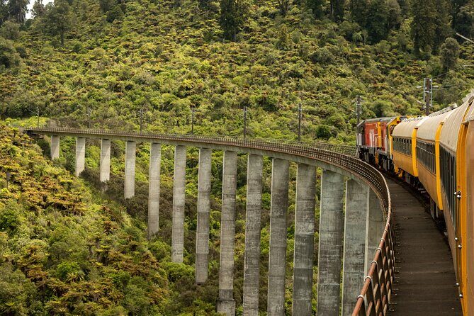 11 Day Shared Rail Tour of NZ North Island - Key Points