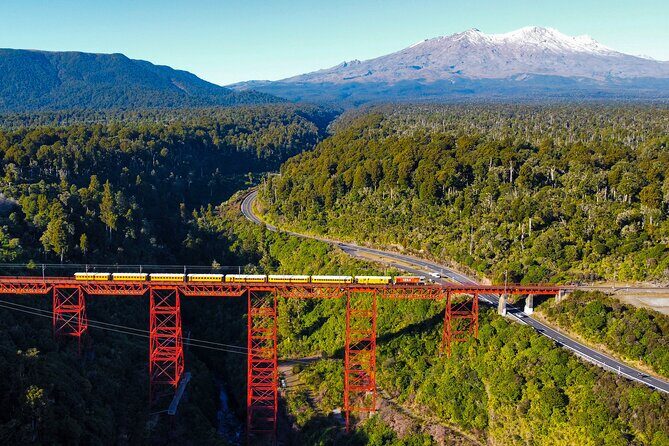 11 Day Shared Rail Tour of NZ North Island - What Travelers Say