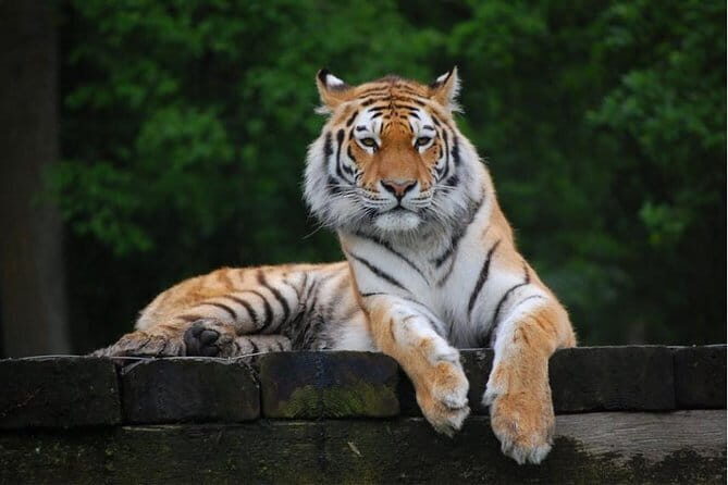 11 Days Delhi Agra Ranthambore Udaipur Jaipur Delhi Tour - Key Points