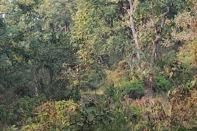 11 Days Nepal Round Tour - Final Thoughts: Is This Tour Right for You?