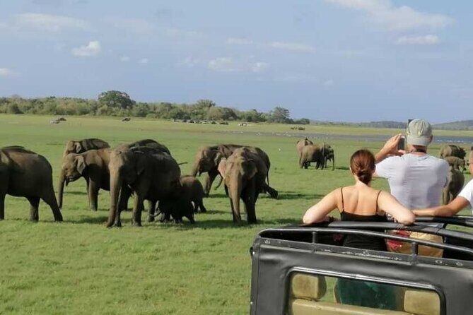 11 Days Sri Lanka Tour With Private Chauffeur & Vehicle - Frequently Asked Questions