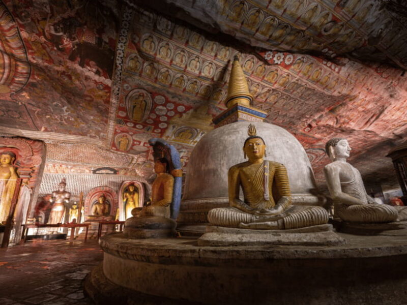 11 Days Sri Lanka Tour With Private Chauffeur & Vehicle - Starting Point: Convenience at the Gateway