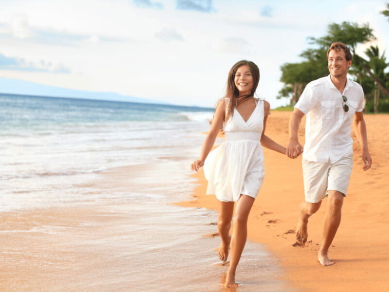 11 Days Sri Lanka Tour With Private Chauffeur & Vehicle - Days 7 & 8: Wildlife and Coastline Adventures