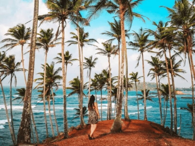 11 Days Sri Lanka Tour With Private Chauffeur & Vehicle - Days 9 & 10: Coastal Relaxation and Historic Galle