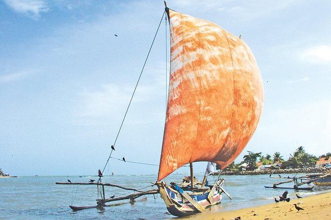 11 Days Tour Of Taprobane - Final Thoughts