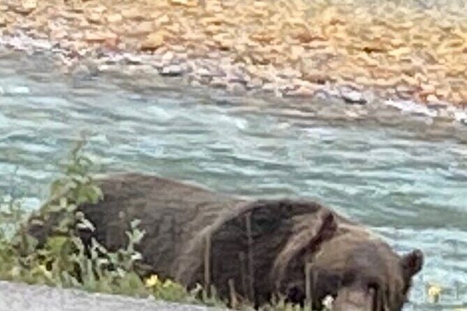 $1100cdn Private Tour Transportation Driver Guide of Banff! - Analyzing the Value