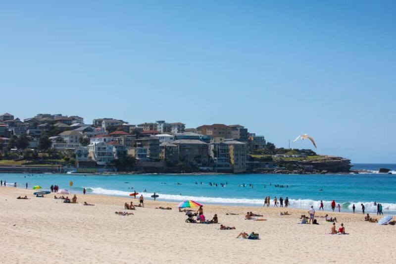 11:30AM Sydney Airport-Hotel transfer with Bondi Tour - A Deep Dive into the Tour Experience