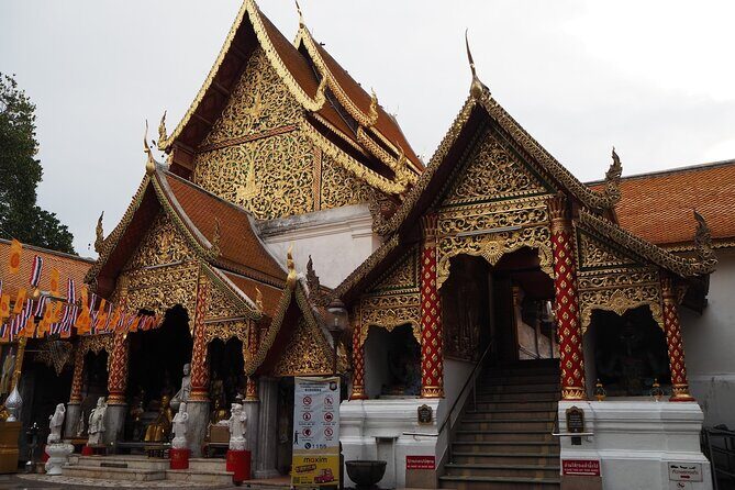 11km Scred Mountain Hike - The Sum Up: Is This Tour for You?