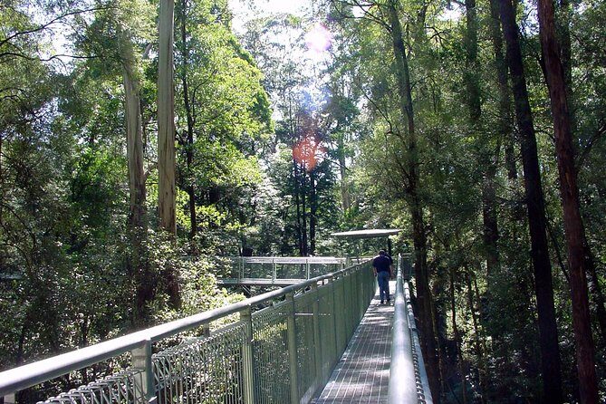12 Apostles and Otway Fly Zipline Day Trip from Melbourne - FAQ