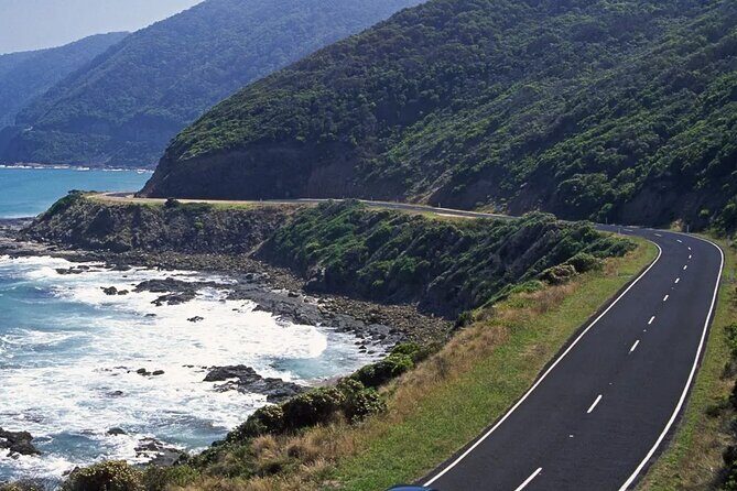 12 Apostles Great Ocean Road Tour From Melbourne - The Itinerary: What You Can Expect