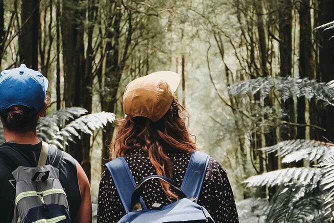 12 Apostles, Otways & Great Ocean Road Day Tour - 8 person max - Giant Redwoods and Rainforest Wonders