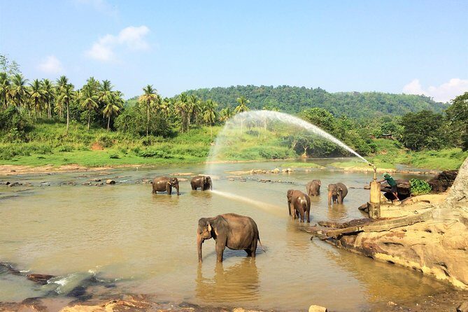 12 Day Explore Sri Lanka - A Deep Dive into the Sri Lanka Experience: What You Can Expect