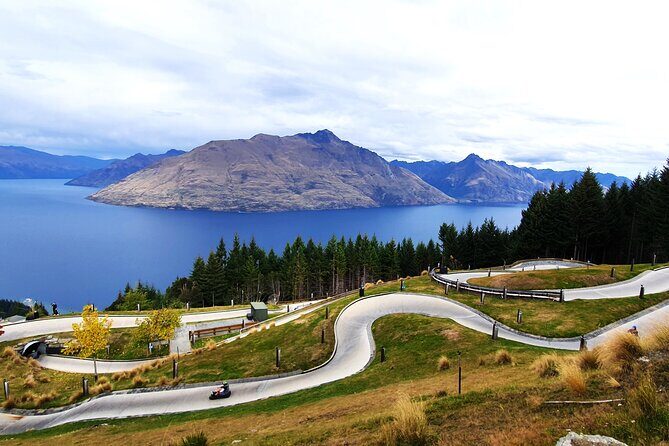 12 Day New Zealand Private Tour from Auckland to Stewart Island - An In-Depth Look at the Tour Experience