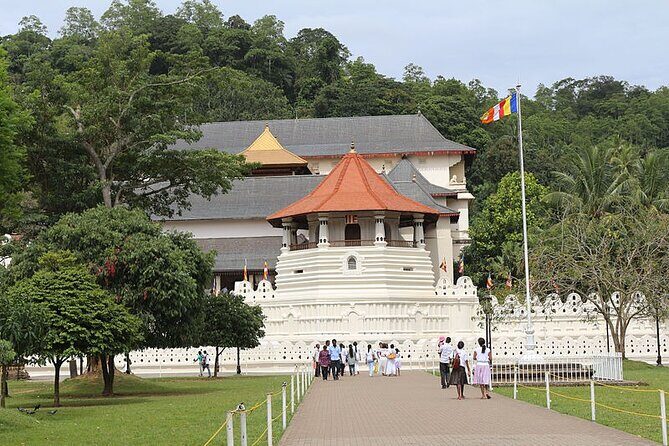 12-Day Private Guided Tour in Sri Lanka - Day 5 & 6: Kandy – Culture and Serenity