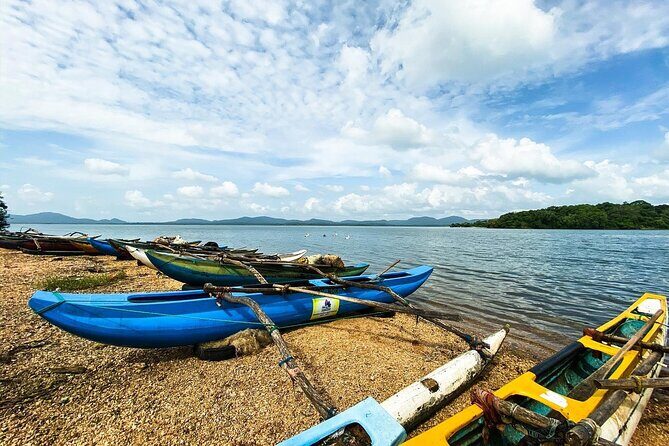 12-Day Private Guided Tour in Sri Lanka - Days 9 & 10: Wildlife and Safari Adventures