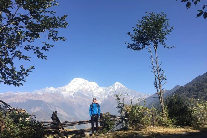 12 Days Annapurna Round Trek from Pokhara - The Itinerary: Each Day’s Unique Flavor