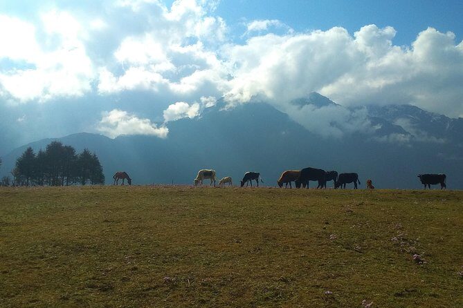 12 Days Everest Base Camp Trek - What Travelers Say