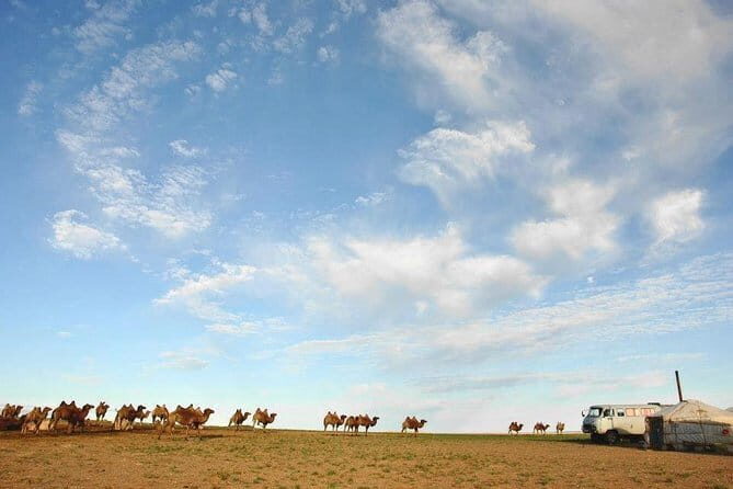 12 Days Gobi Desert and Express Mongolia - Practical Considerations and Value