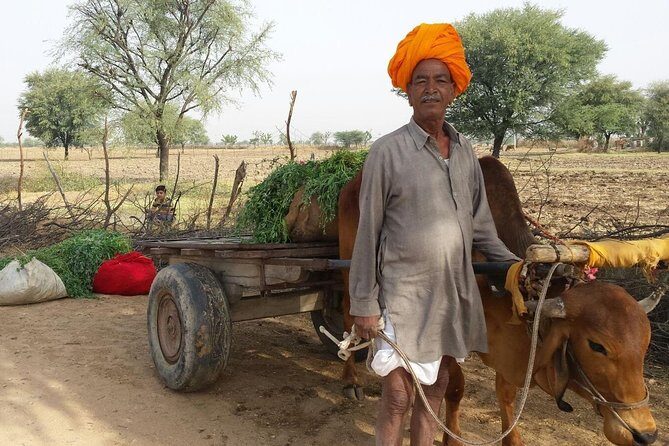 12 Days Heritage of Royal Rajasthan Tour with Golden Tringle - Introduction