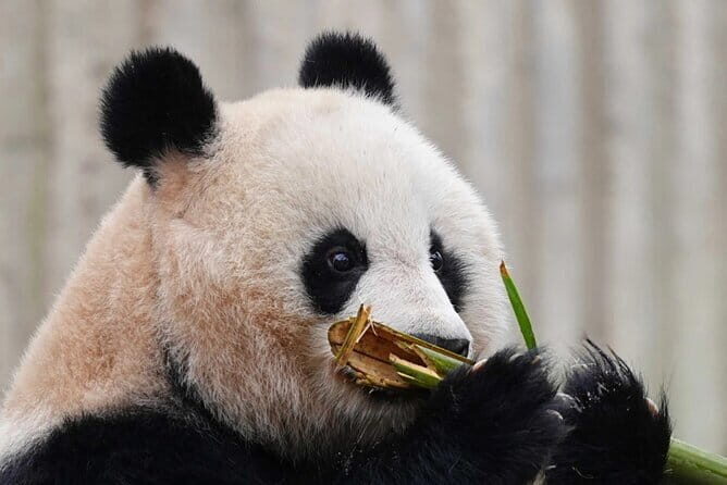 12 Days on Sichuan Tibet Highway G318 Classic Tour - Final Thoughts: Is It Worth It?