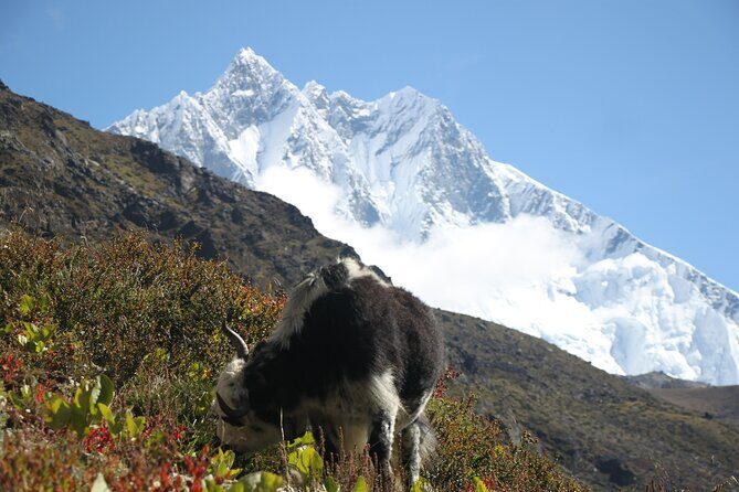 12 Days Private Everest Camp Base Tour from Kathmandu - Days 4-6: Incredible Views and Preparation for the Final Ascent