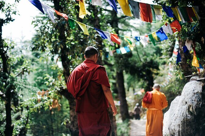 12 Days Private Monastery Visit and Mild Hiking from Kathmandu - What Travelers Are Saying