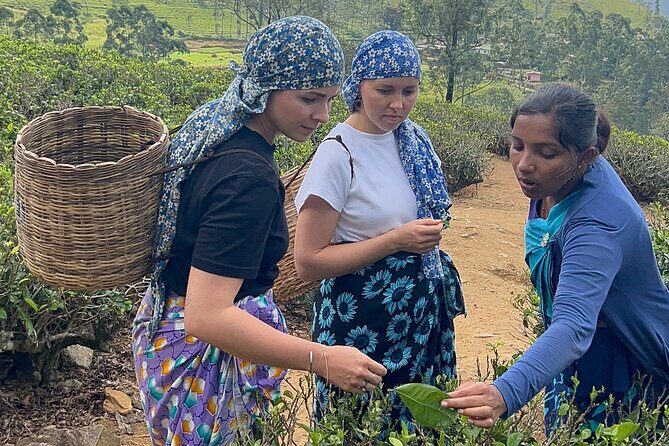 12 days Sri Lanka Round Tour private vehicle BB Accommodation - Frequently Asked Questions