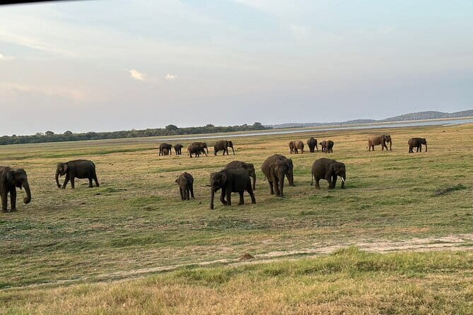 12 Days Tour Grand Discovery of Sri Lanka - An In-Depth Review of the 12 Days Tour Grand Discovery of Sri Lanka