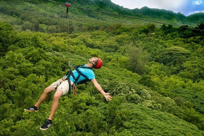 12 Hours Experience Different Hue - FAQ