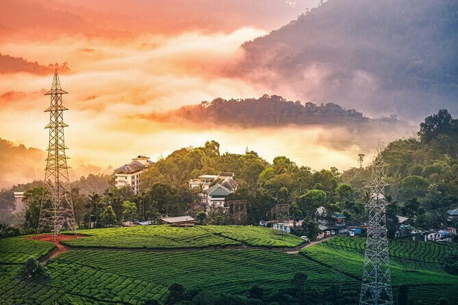 12 Hours Private Munnar Tour from Kochi - The Journey Begins: From Kochi to Munnar