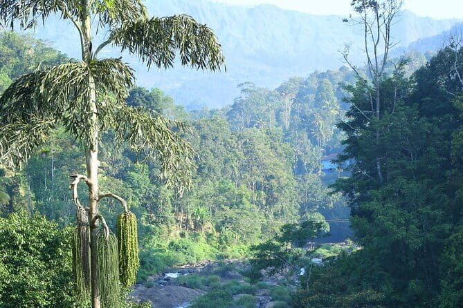 12 Hours Private Munnar Tour from Kochi - Munnar Spice Farms: Aromatic Learning