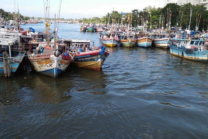 12 Nights Wild Life & Nature Tour - An In-Depth Look at the Itinerary