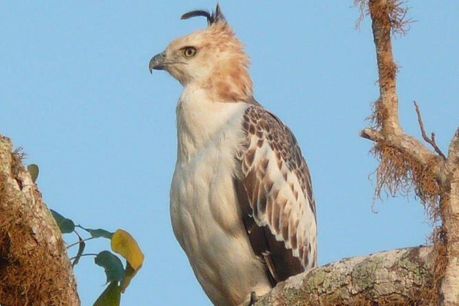 12 Nights Wild Life & Nature Tour - What Travelers Are Saying