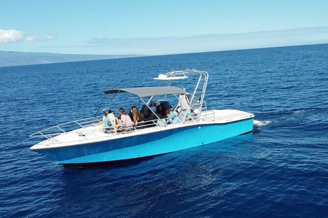 12 Passenger Kaanapali Beach Whale Watch tour. Onboard Whale Mic - An Honest Look at the Maui Whale Watching Experience