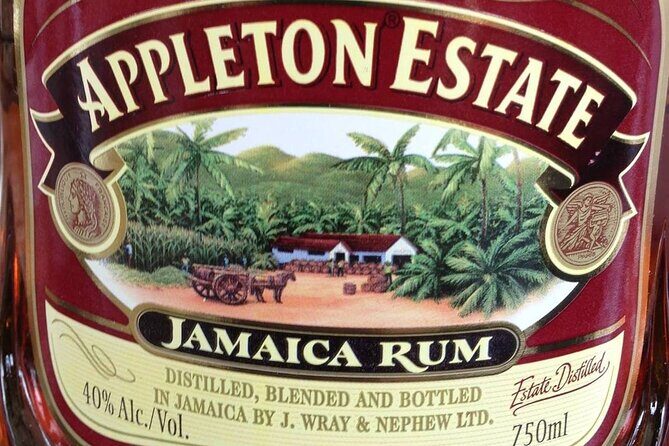 13. Appleton Rum Estate & Black River Safari Private Guided Combo all day tour - Key Points